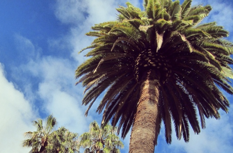 Sonair | Journal | First live demo - in Santa Clara